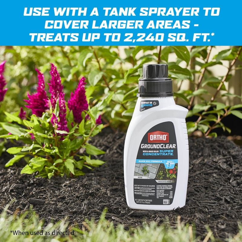 Ortho Groundclear Weed And Grass Killer Super Concentrate1 Ortho