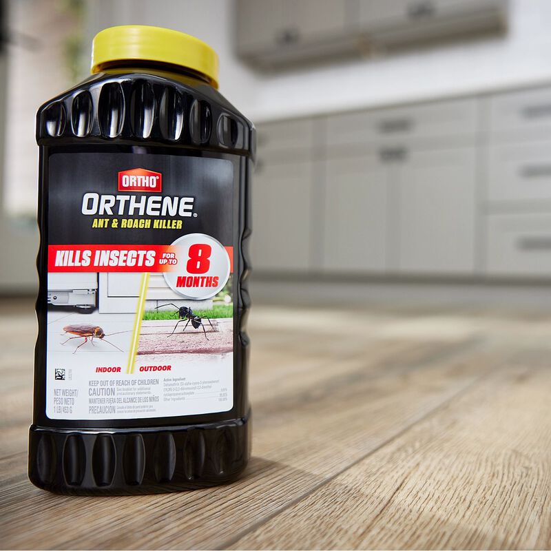 Ortho Orthene Ant & Roach Killer | Ortho