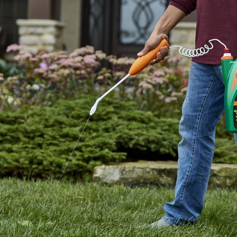 Ortho Weedclear Lawn Weed Killer North Ortho