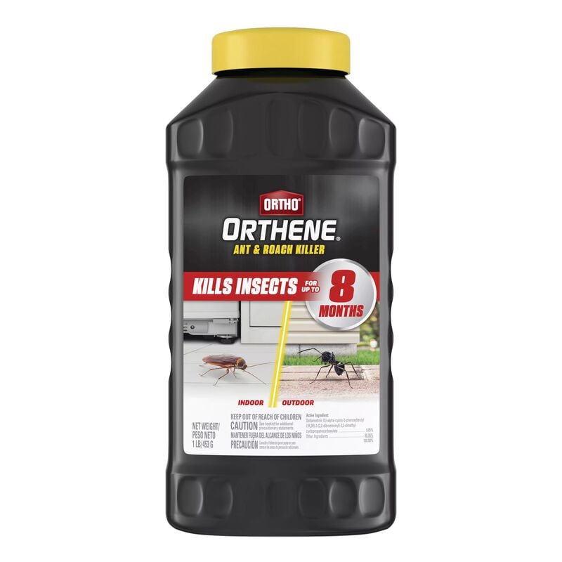 Ortho Orthene Ant And Roach Killer Ortho